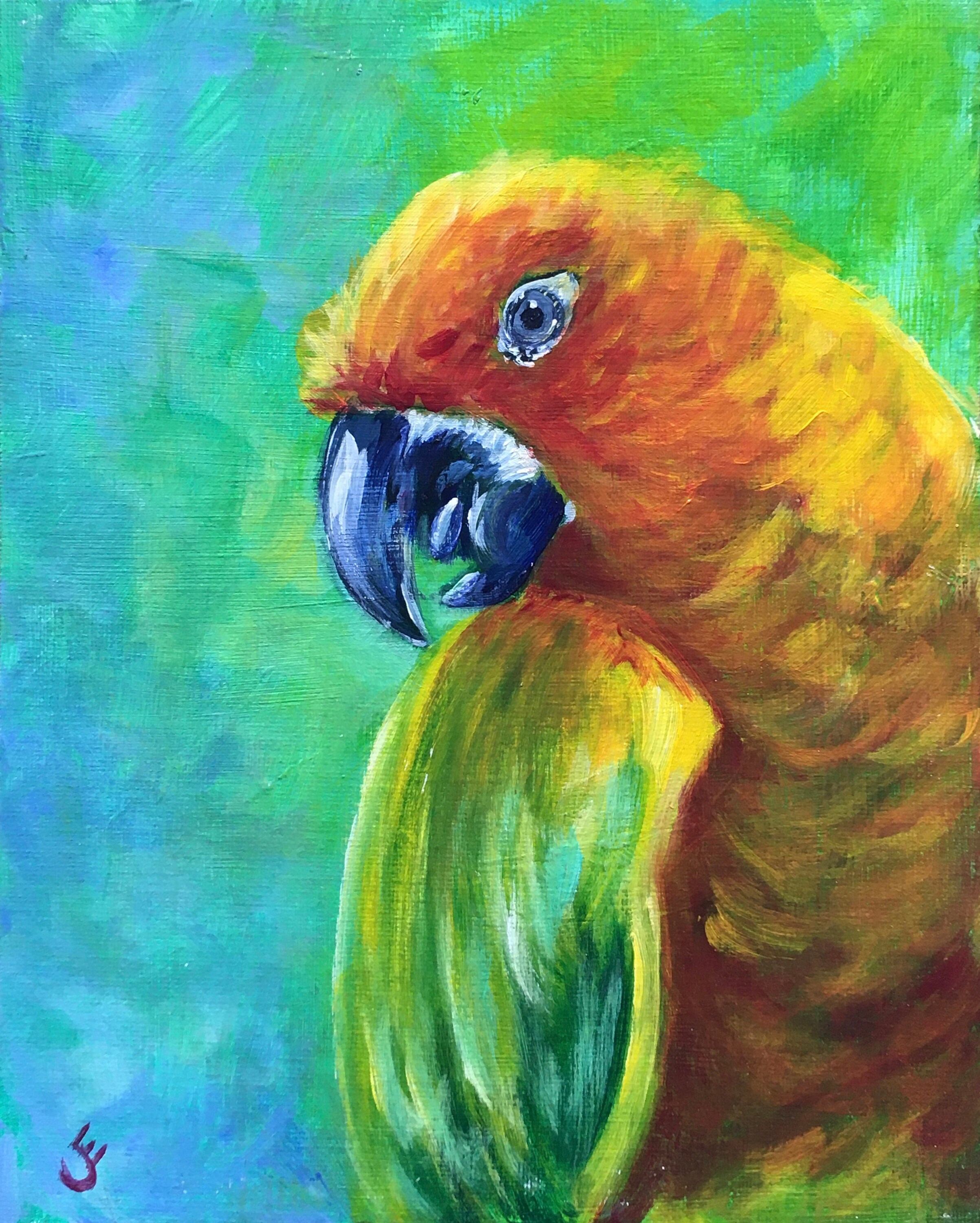 Sun Conure - Bird Painting - Etsy