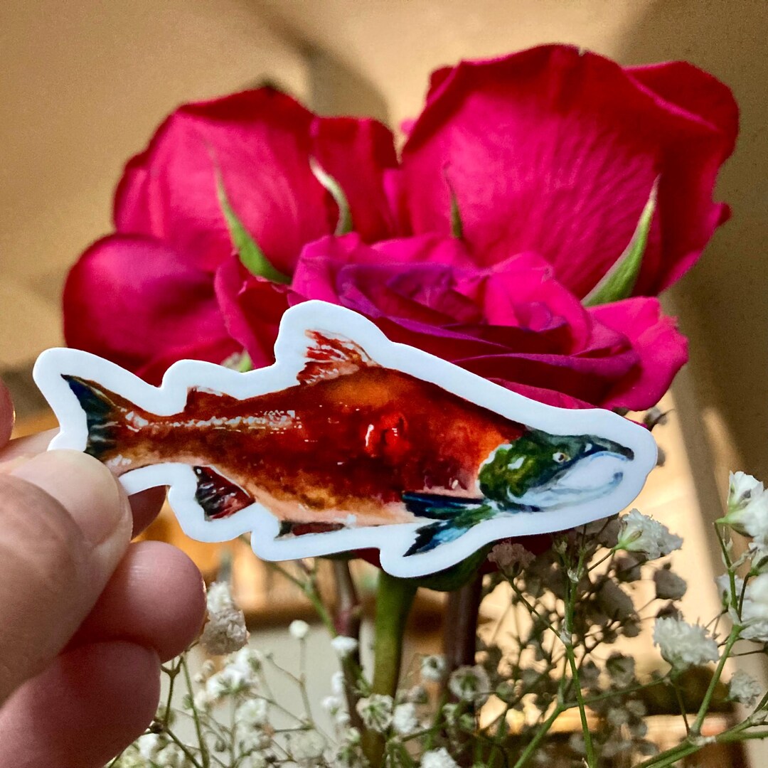 Salmon Vinyl Sticker Vibrant Watercolor Fish Decal 3 Inches - Etsy