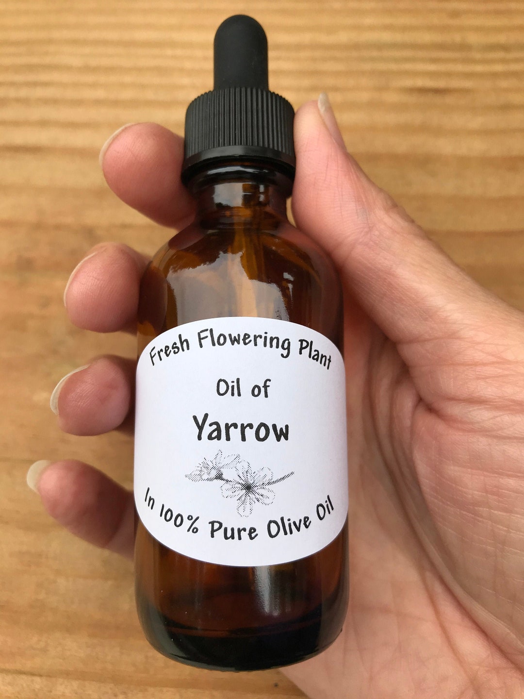 Yarrow Oil: Fresh Flowering Plant Infused in Olive Oil - Etsy