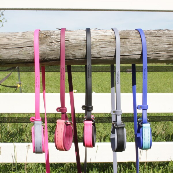 Sighthound Collar - Etsy