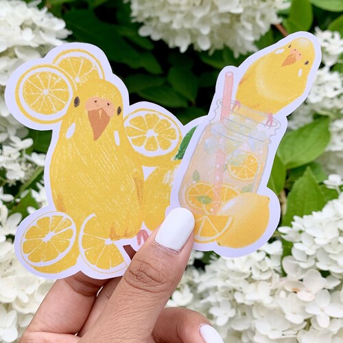 Cute Yellow Budgie Parakeet Decal Summer Lemonade Sticker - Etsy