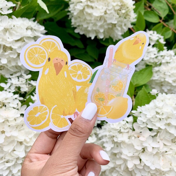 Yellow Budgie - Etsy