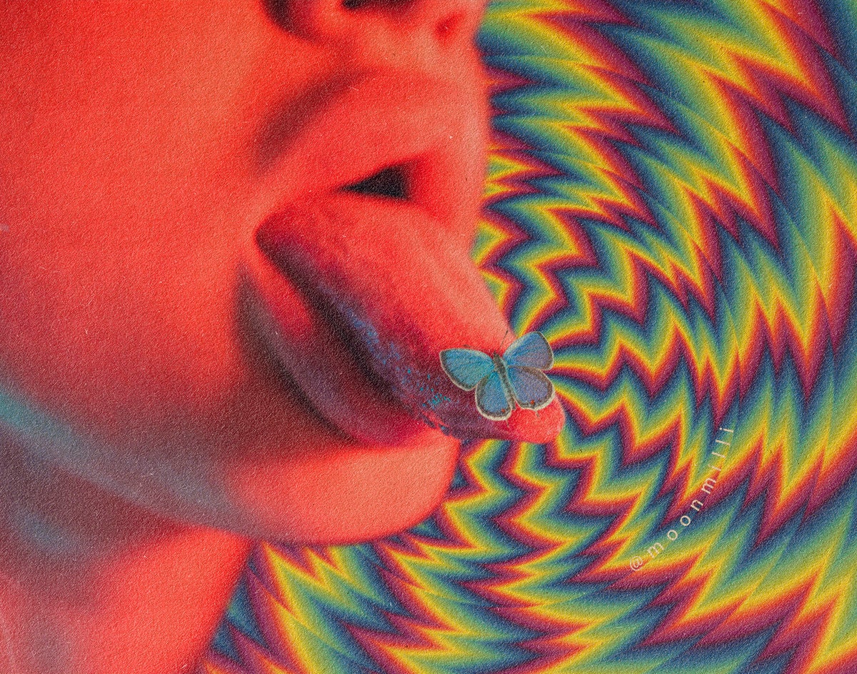 Should Have Taken Acid With You Print | Etsy