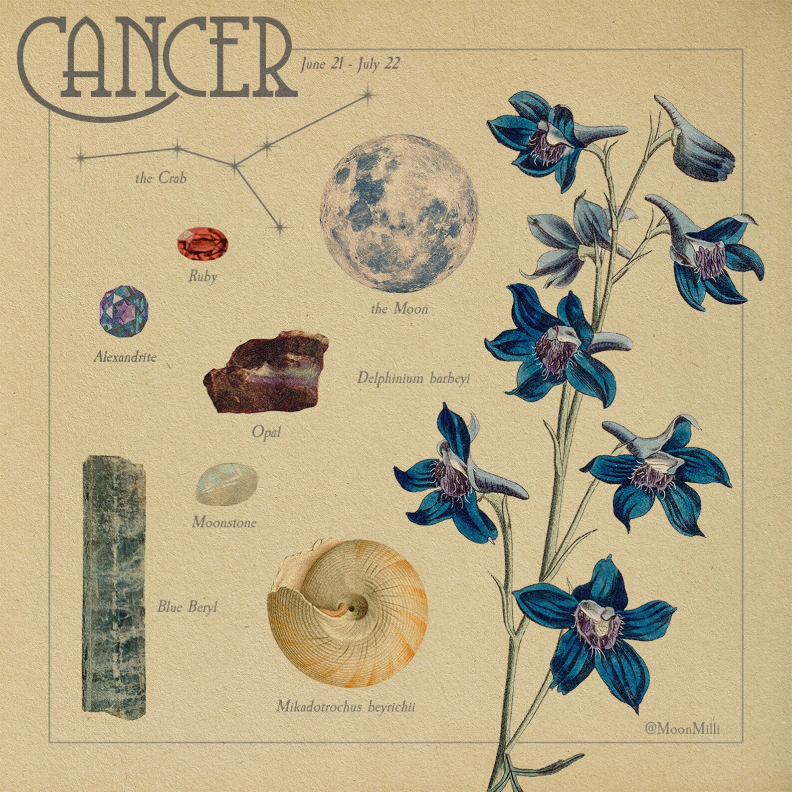 Cancer Zodiac Print - Etsy