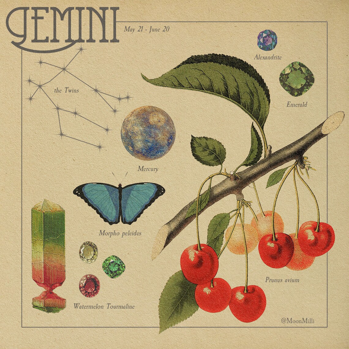 Gemini Zodiac Print - Etsy