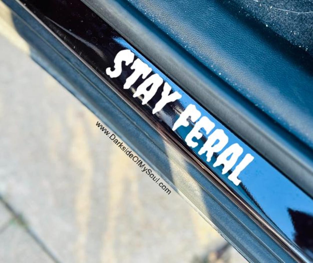 Stay Feral, Feral, Feral Decal, Stay Weird, Car Decal, Feral for Life ...