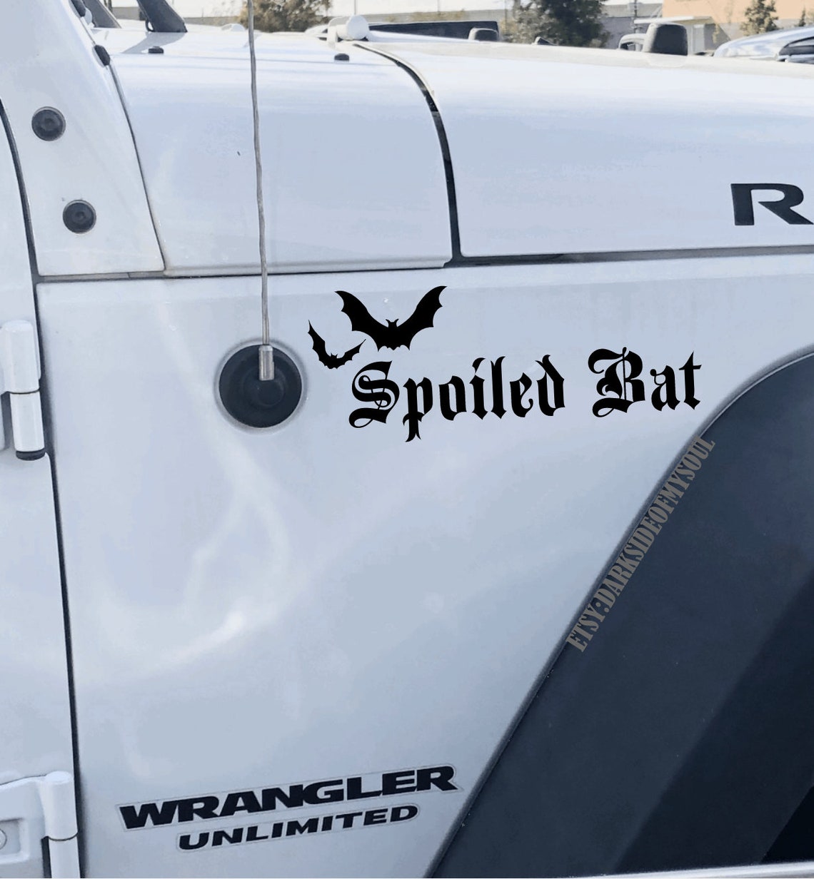 Spoiled Bat Decal Bat Decal Spooky Bitch Spooky Bitches - Etsy