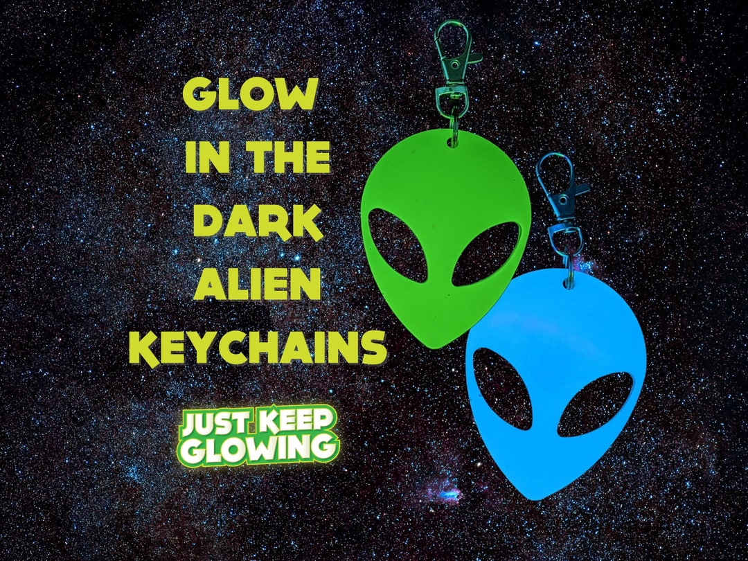 Glow in the Dark Alien Keychain, Car Accessories for Men, Keychain ...