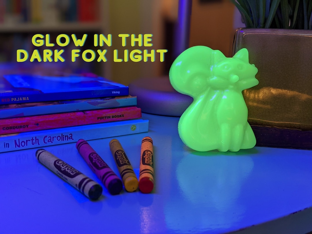 Glow in the Dark Fox Fidget Toy, Kids Night Light - Etsy