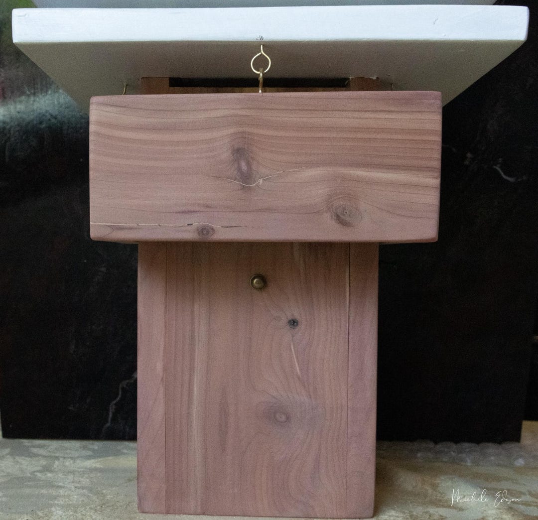 Cedar "camera-ready" Bluebird House With Wren Guard - Etsy