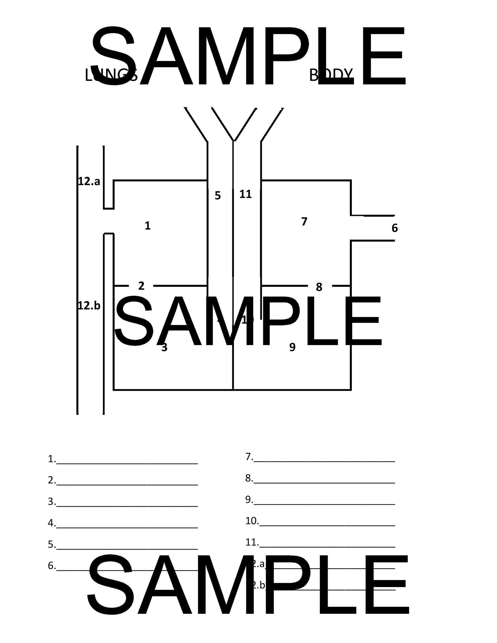 Heart Anatomy Study Diagram Template With Blank AND Filled in Versions ...