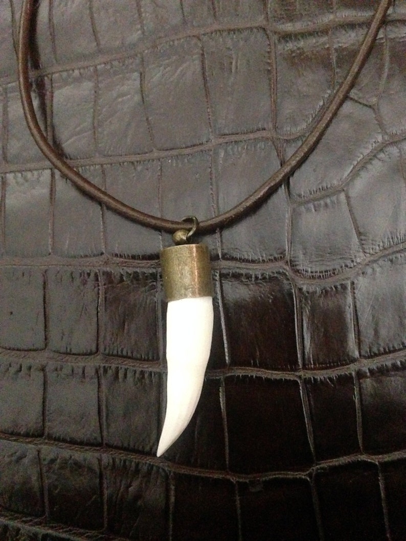 Crocodile Tooth Necklace Large Tooth 3cm - Etsy
