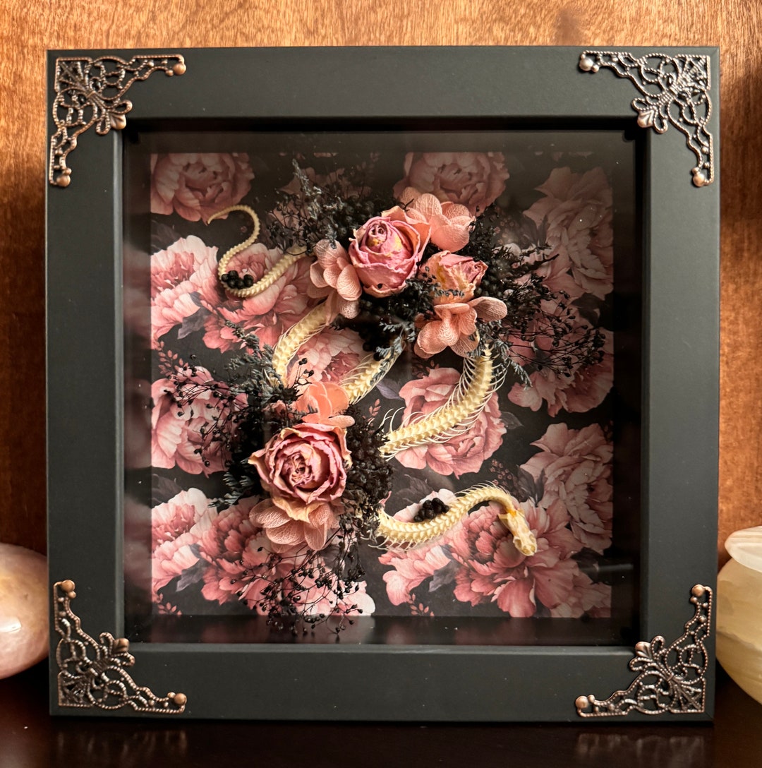 OOAK Floral Snake Skeleton Shadow Box - Etsy
