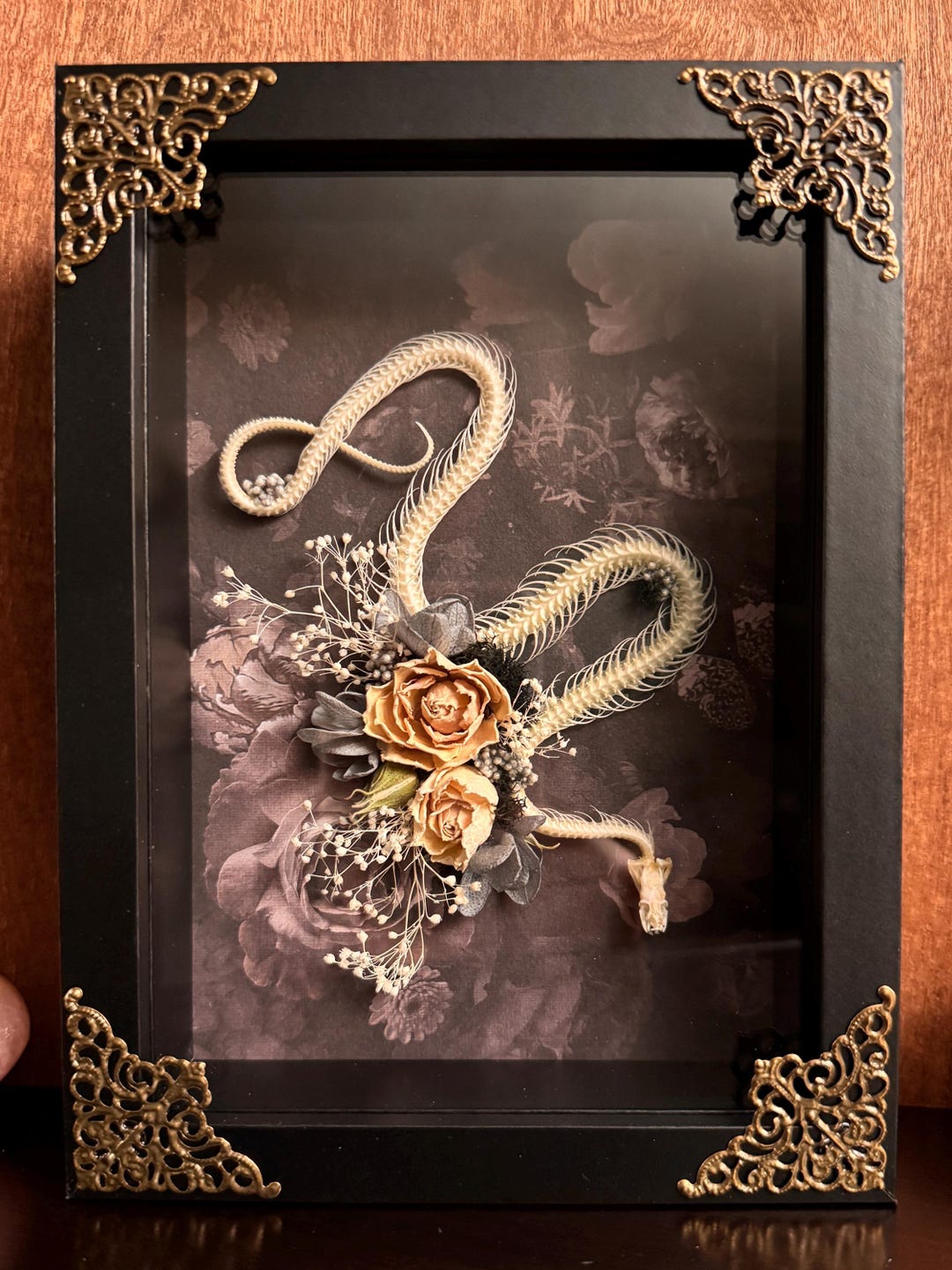OOAK Floral Snake Skeleton Shadow Box - Etsy