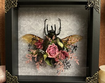 OOAK Floral Atlas Beetle Shadow Box - Etsy