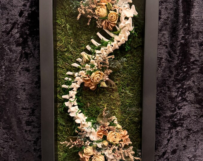 OOAK Floral Fox Vertebrae Shadow Box - Etsy