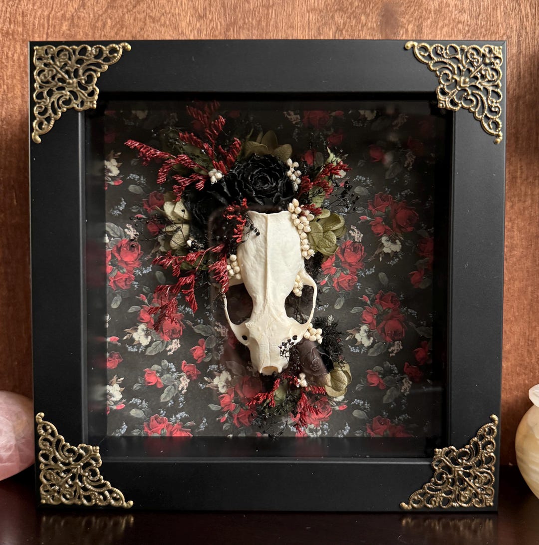 OOAK Floral Mink Skull Shadow Box - Etsy