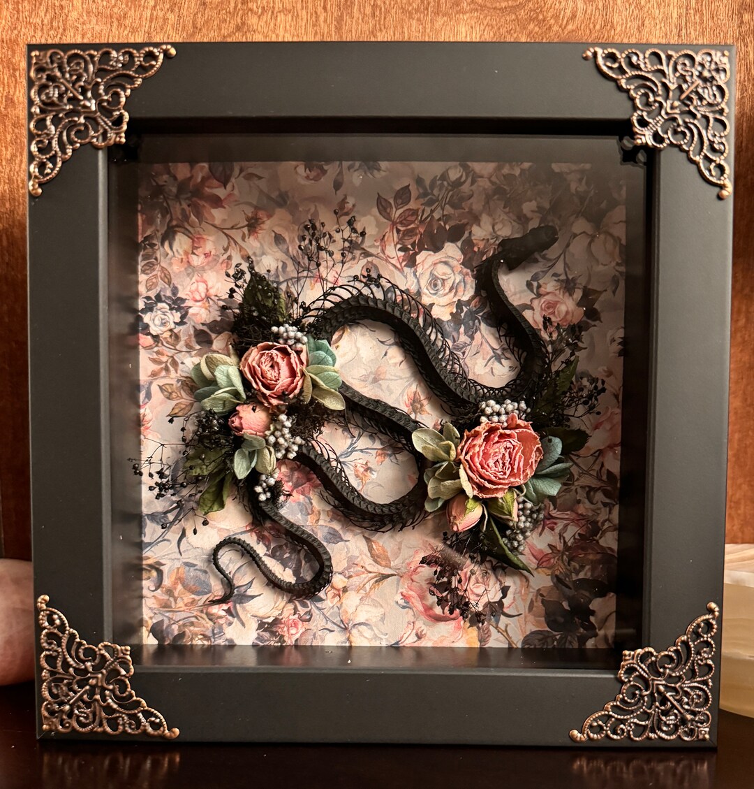 OOAK Floral Snake Skeleton Shadow Box - Etsy