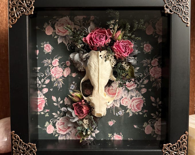 OOAK Floral Mink Skull Shadow Box - Etsy