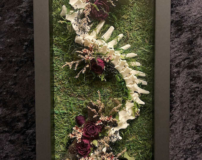 OOAK Floral Fox Vertebrae Shadow Box - Etsy