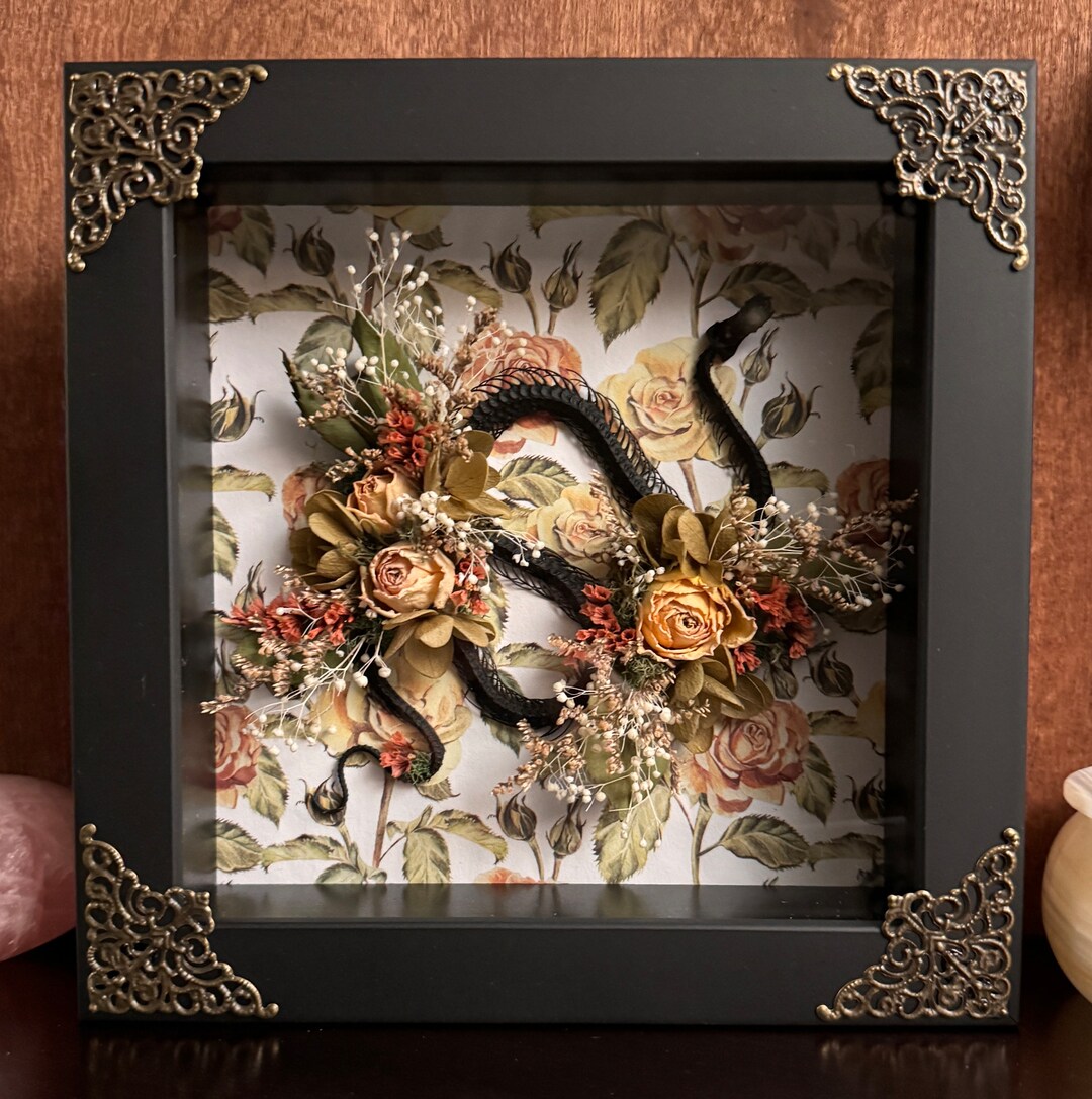 OOAK Floral Snake Skeleton Shadow Box - Etsy