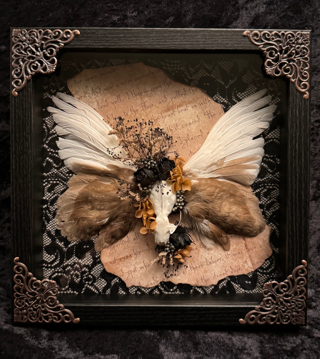 OOAK Tell-tale Heart Quail Wing Shadow Box - Etsy