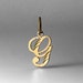 14k Gold g Initial Cursive Pendant Charm Gold Initial g Necklace Charm ...