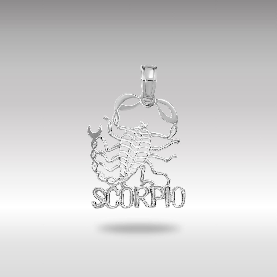 14K White Gold Scorpio Zodiac Pendant: Astrological Charm - Etsy