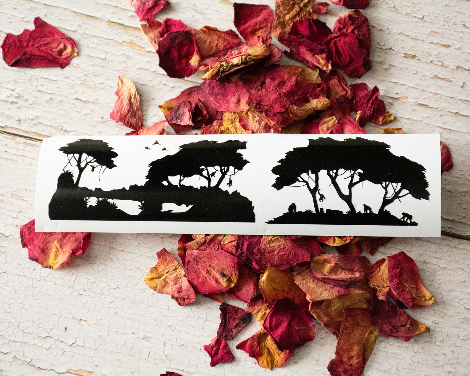 Jungle Monkeys Svg Monkey Swinging Vine Svg Playful Primate - Etsy