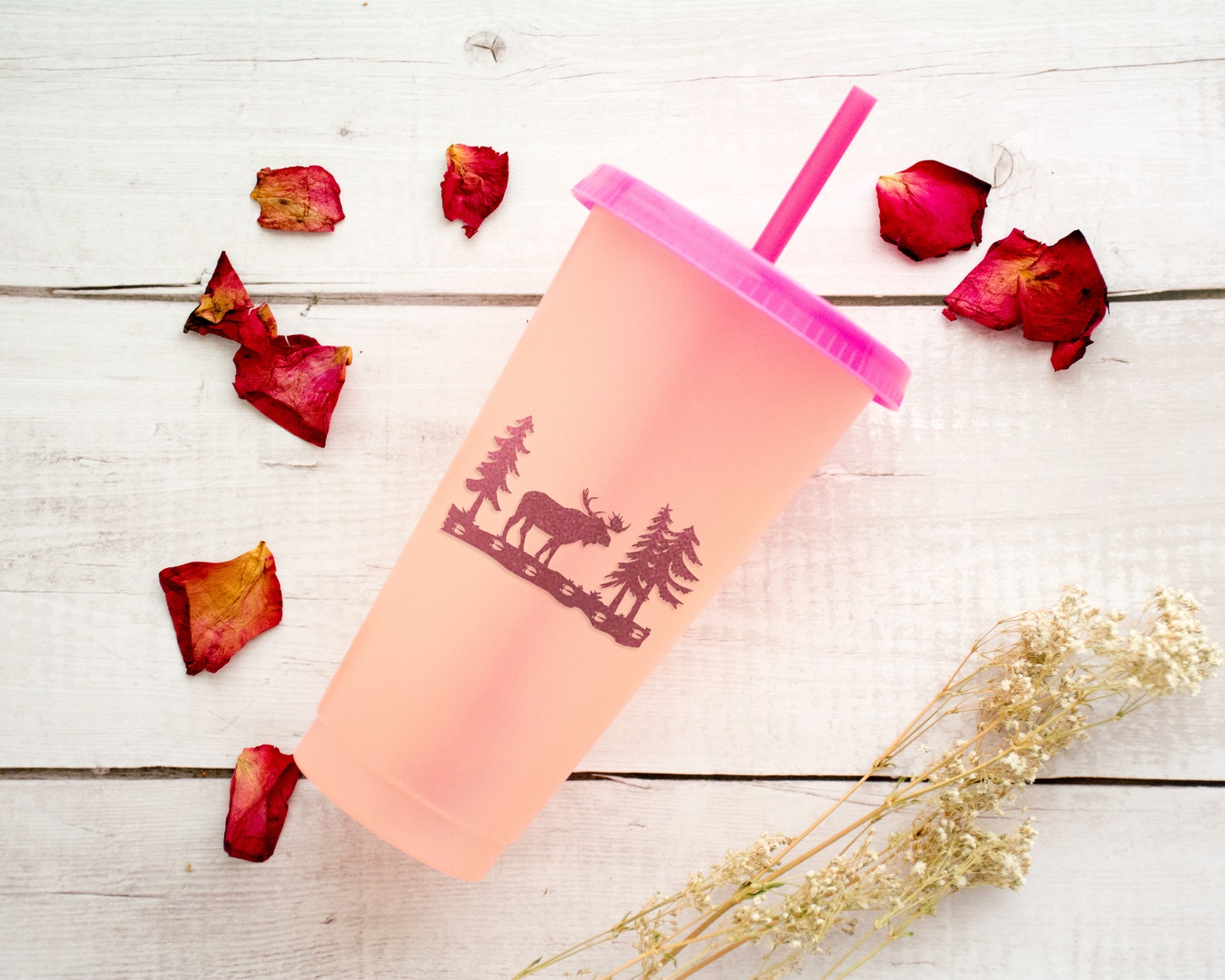 Forest Animal Tracks SVG Bundle Woodland Wildlife Footprints - Etsy