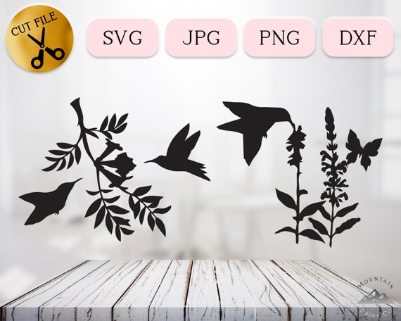 Hummingbird Feeding Svg Bundle Cute Humming Bird Silhouette | Etsy