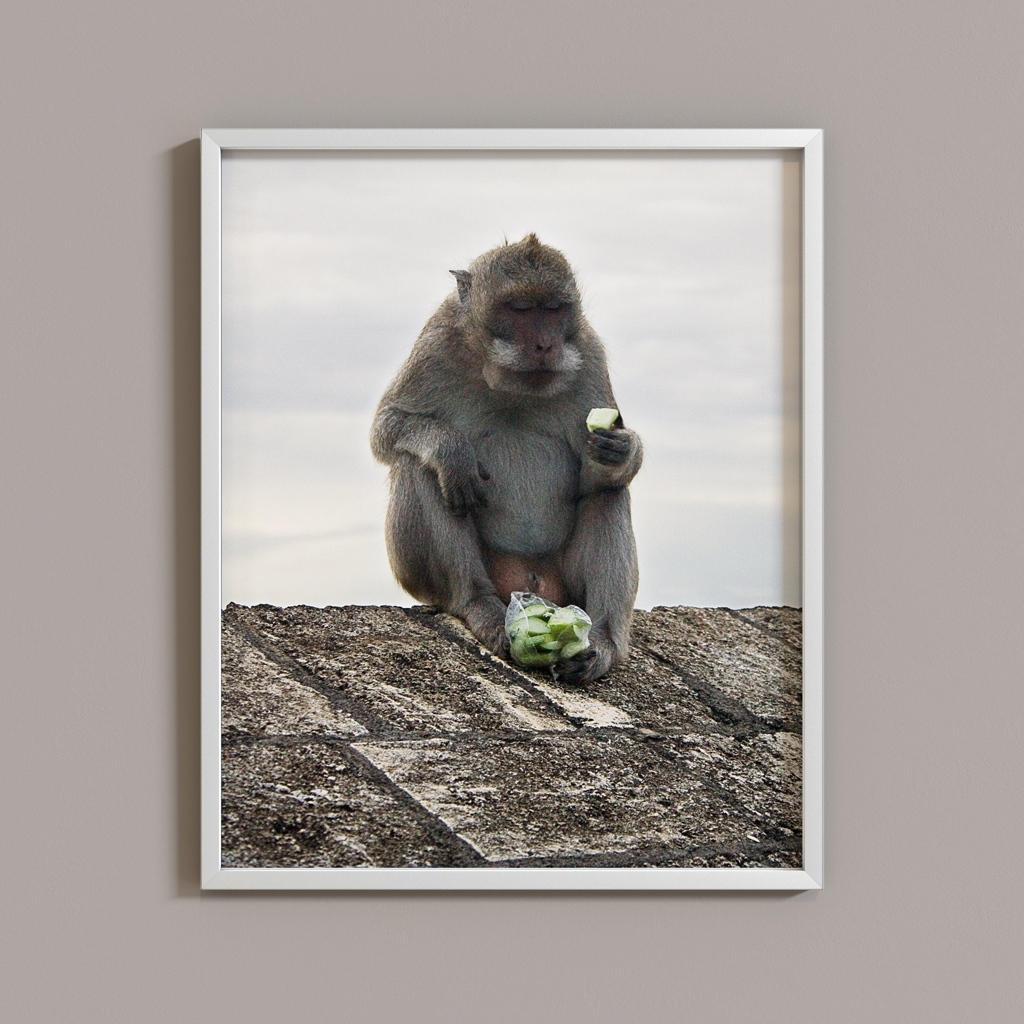 Monkey Digital Print, Humorous Wall Art, Monkey Eating Apples, Funny ...