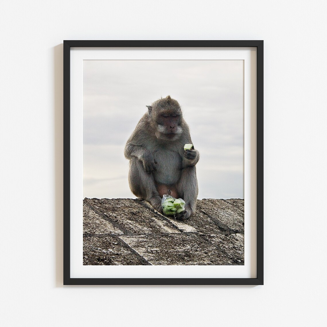 Monkey Digital Print, Humorous Wall Art, Monkey Eating Apples, Funny ...