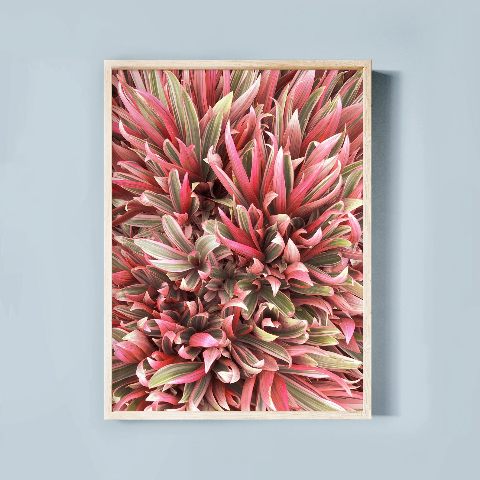 Pink Plants Digital Print, Floral Digital Prints, Plants Wall Art, Pink ...