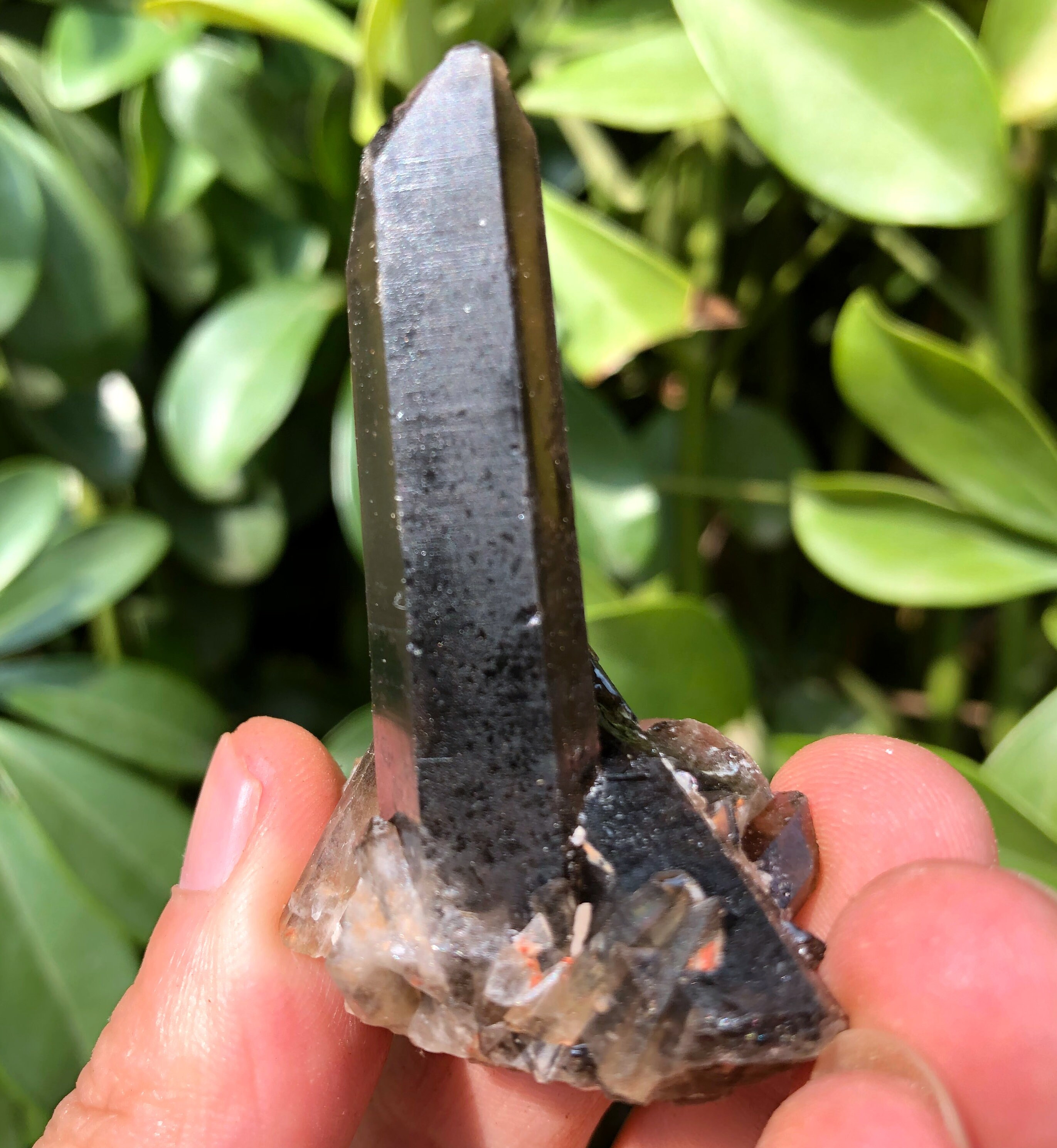 Top Large Raw black Crystal Cluster/Black Quartz | Etsy