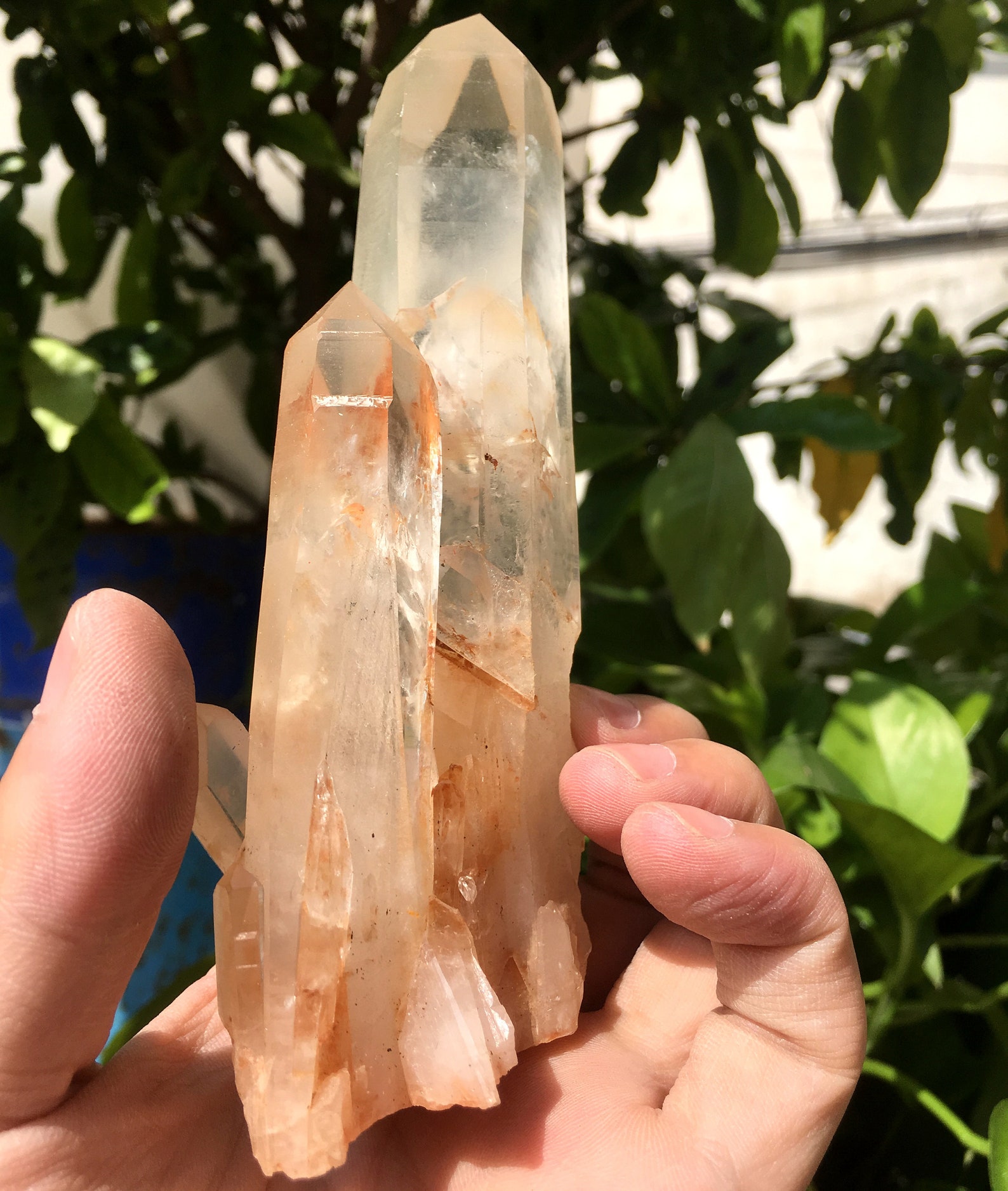 Natural Raw Himalayan Family Crystal Quartz Point/White | Etsy
