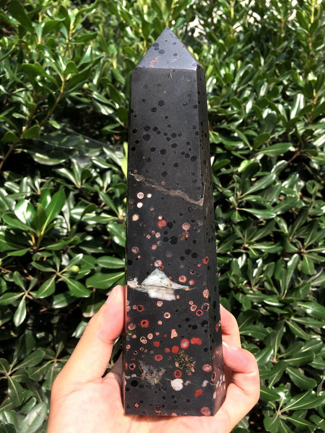 Rare Natural Large Plum Stone Point/scenic Quartz Point/lodalite ...