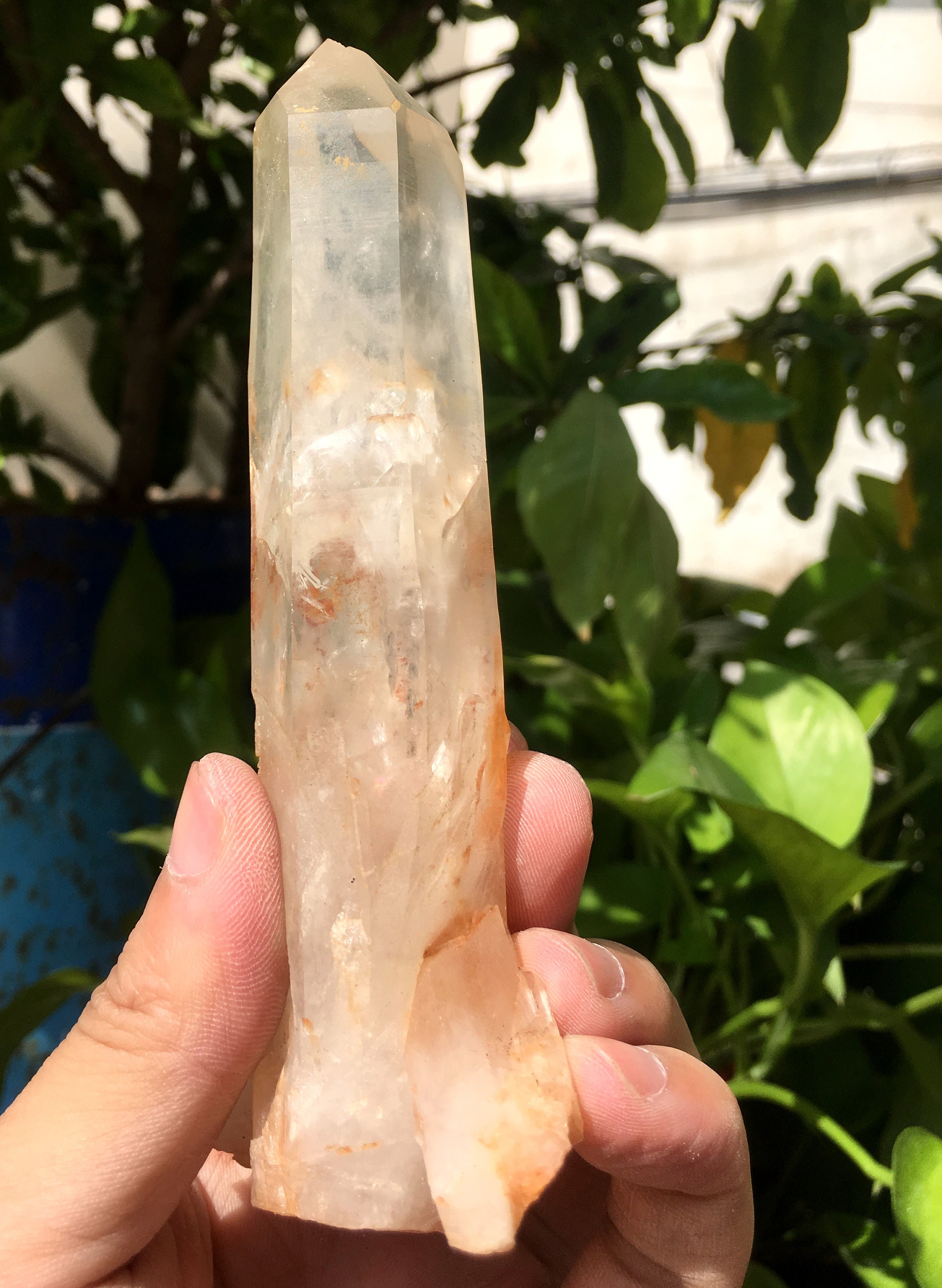 Natural Raw Himalayan Family Crystal Quartz Point/White | Etsy