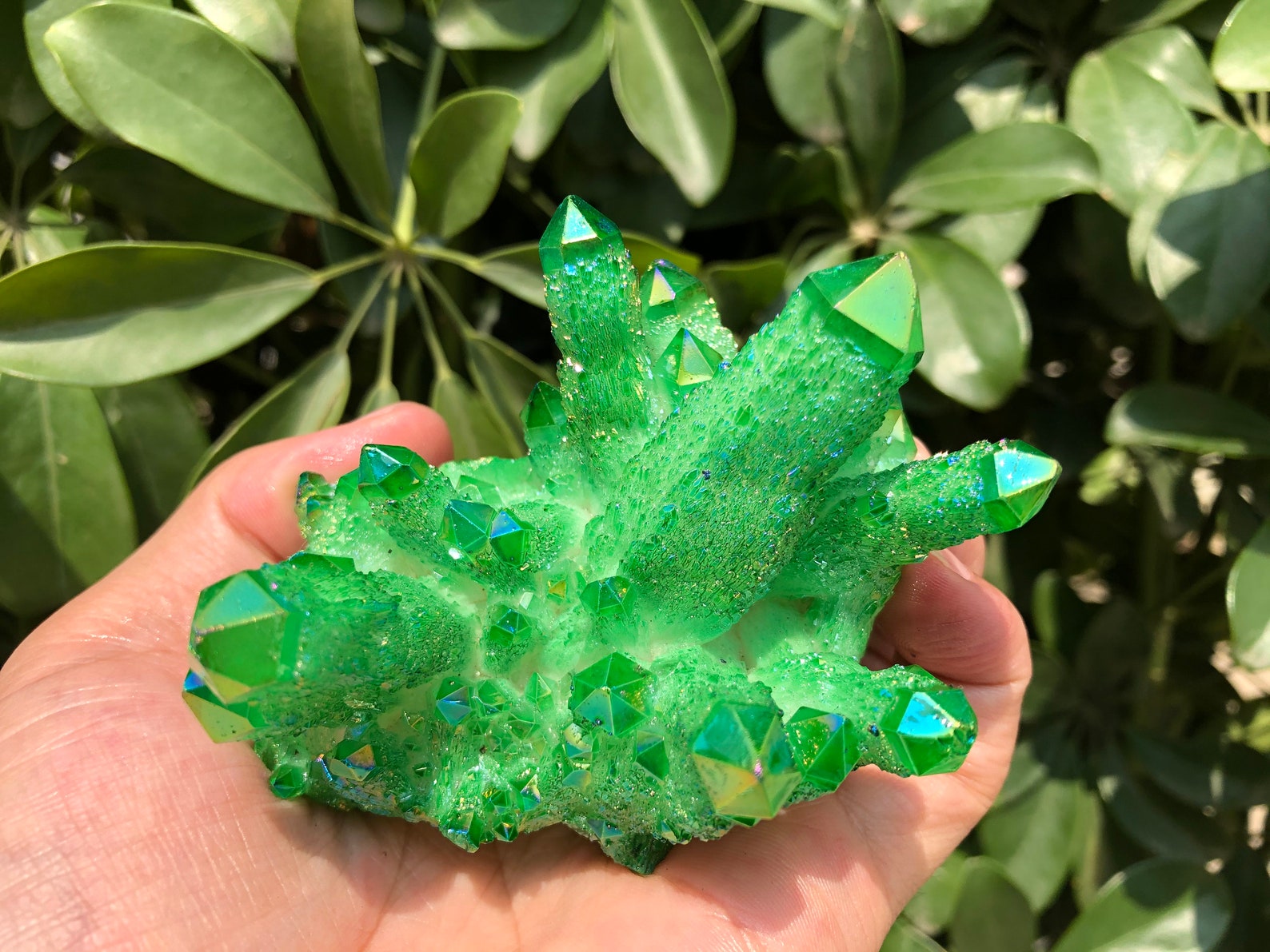 Aura Green Quartz Crystal Cluster/angel Aura Quartz Crystal | Etsy