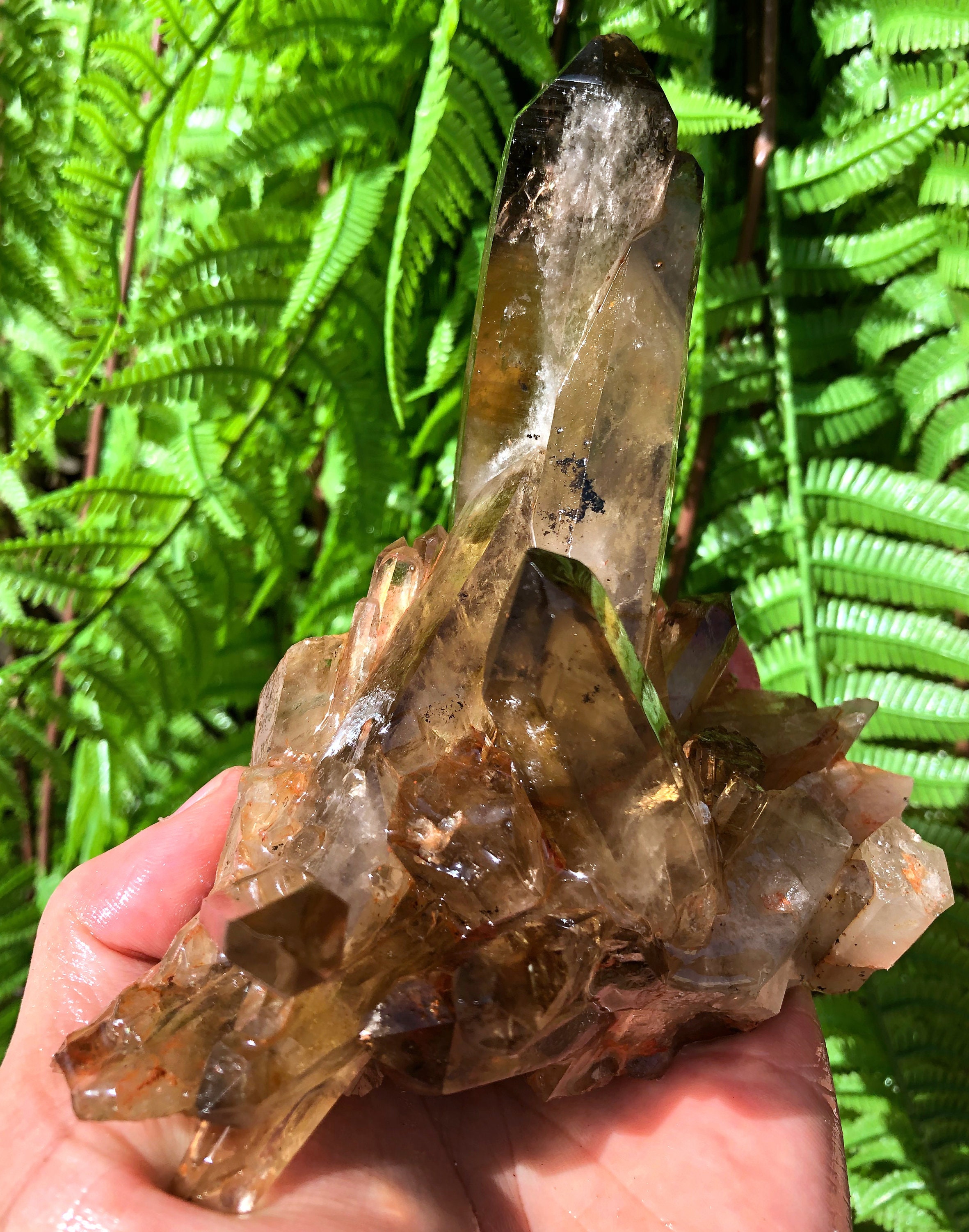 Top Raw Smoky Crystal+yellow Crystal Cluster/black Quartz Cluster ...