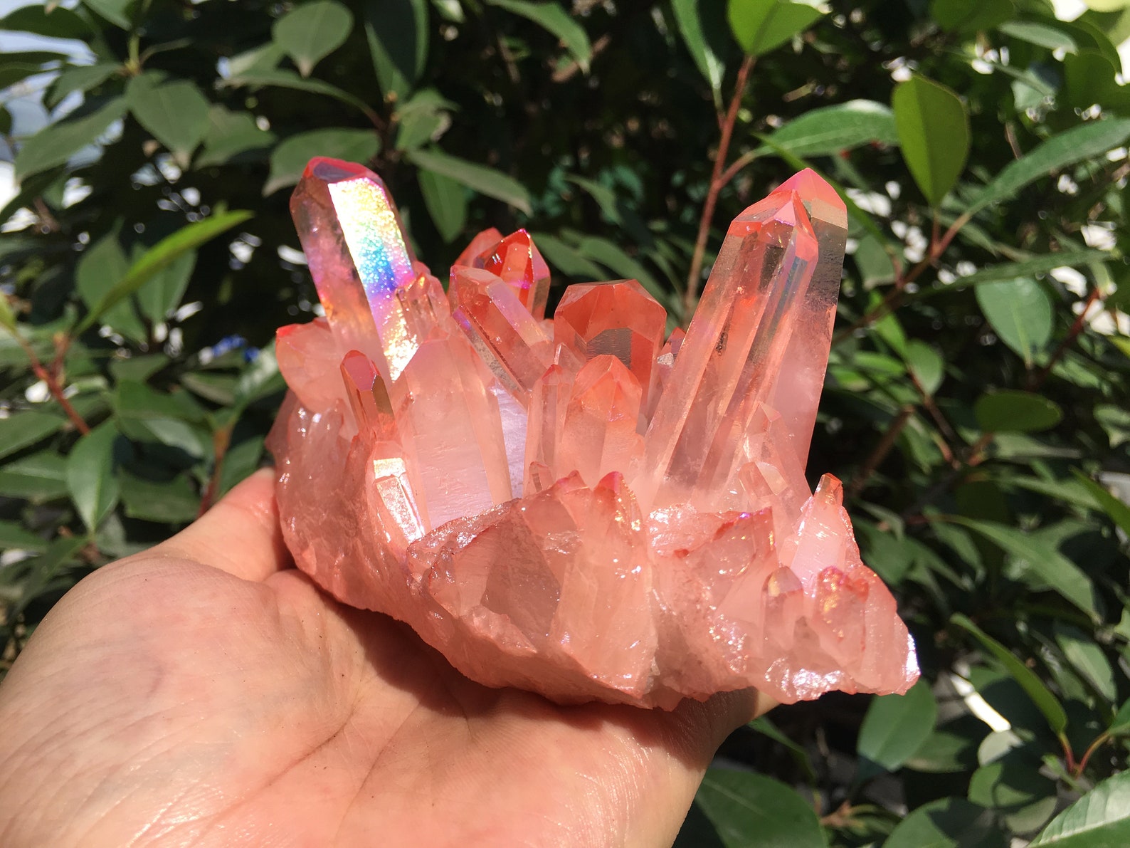 Aura Pink Quartz Crystal Cluster/angel Aura Quartz Crystal Cluster ...