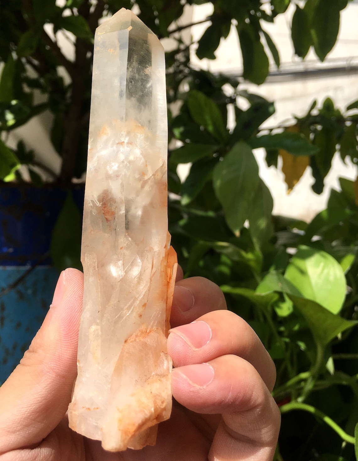 Natural Raw Himalayan Family Crystal Quartz Point/White | Etsy