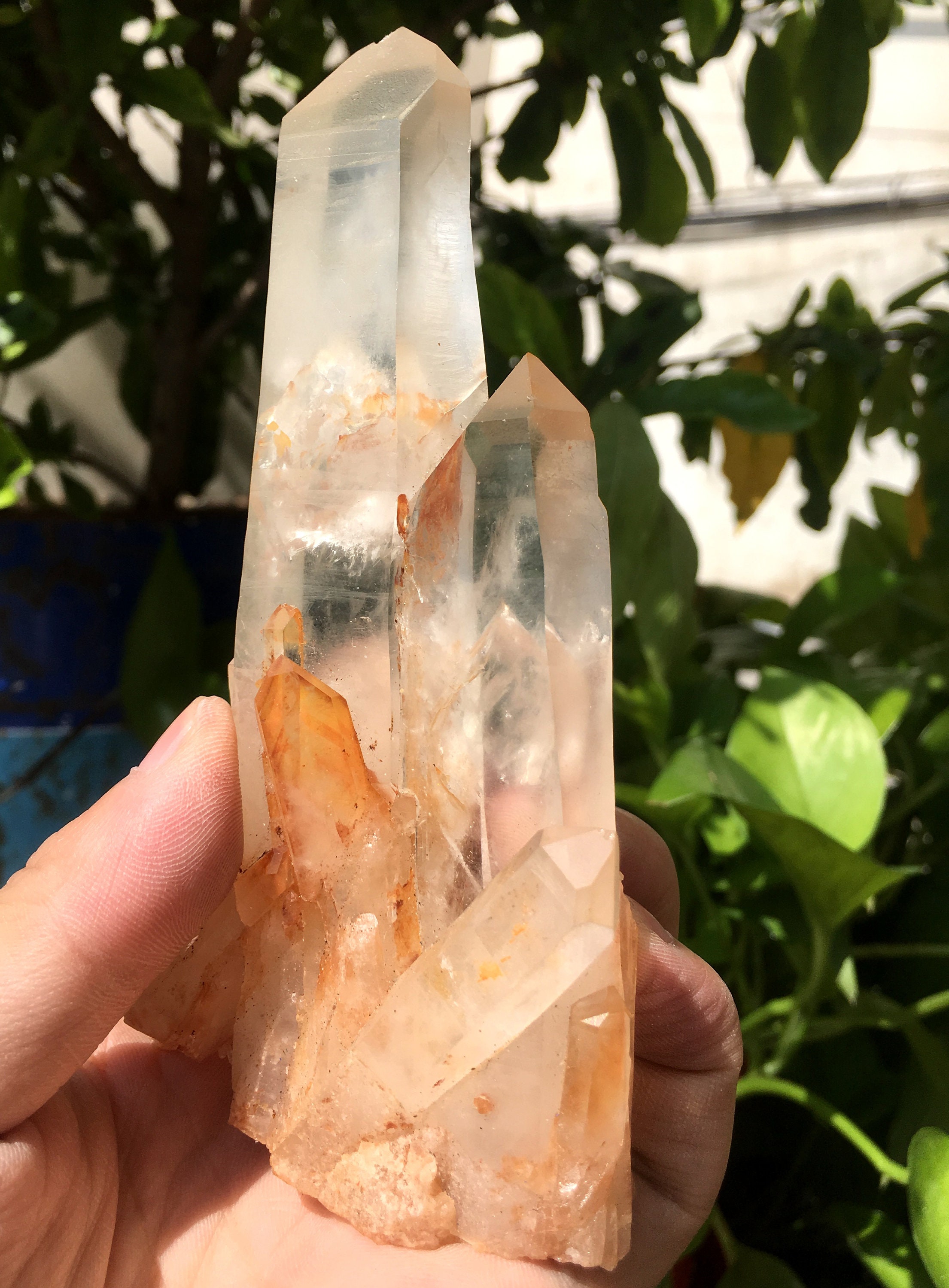 Natural Raw Himalayan Family Crystal Quartz Point/White | Etsy