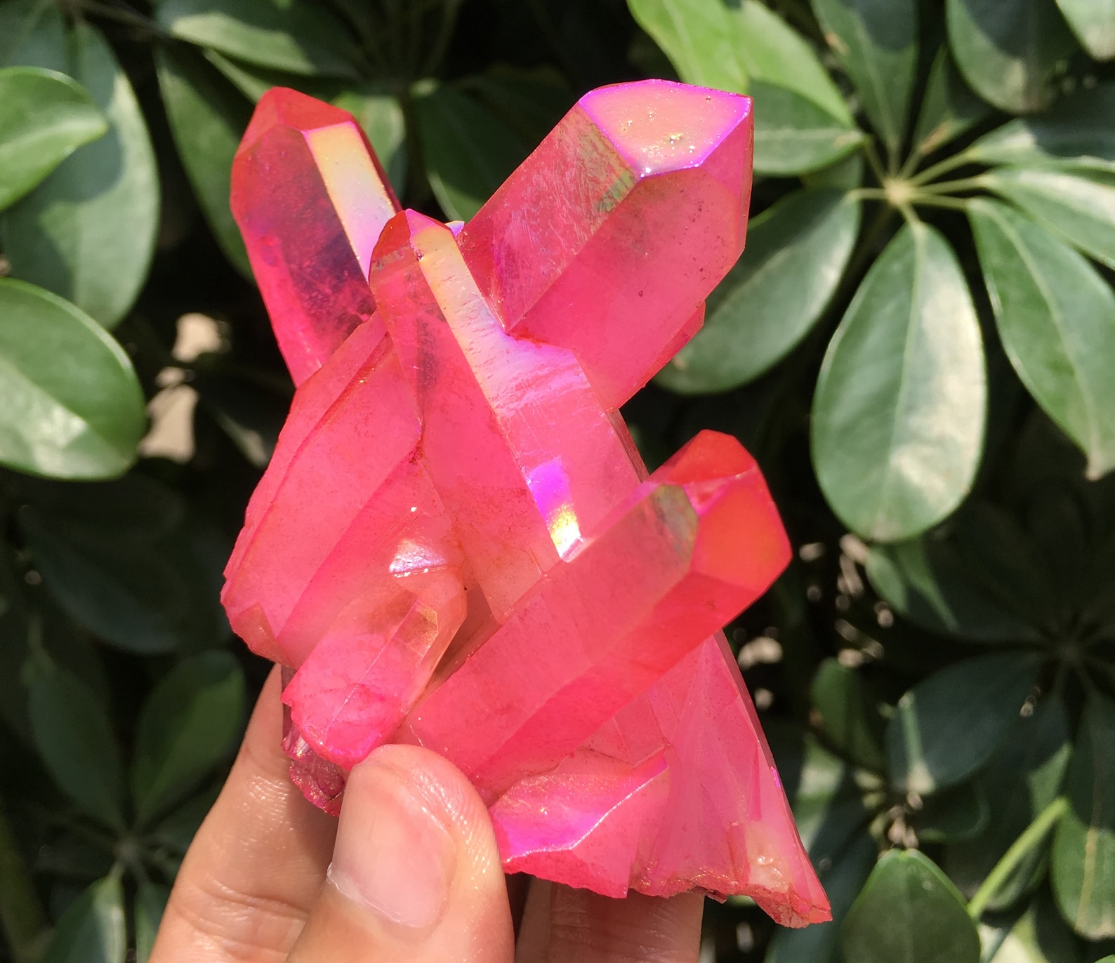 Aura Pink Quartz Crystal Cluster/Angel Aura Quartz Crystal | Etsy