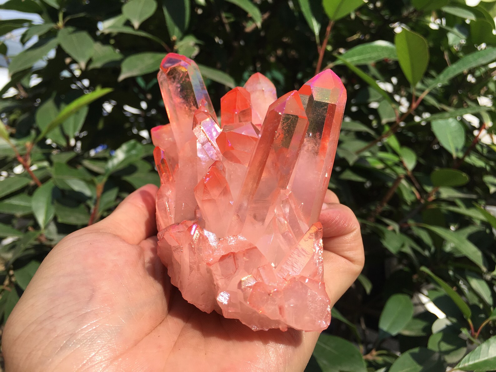 Aura Pink Quartz Crystal Cluster/angel Aura Quartz Crystal Cluster ...