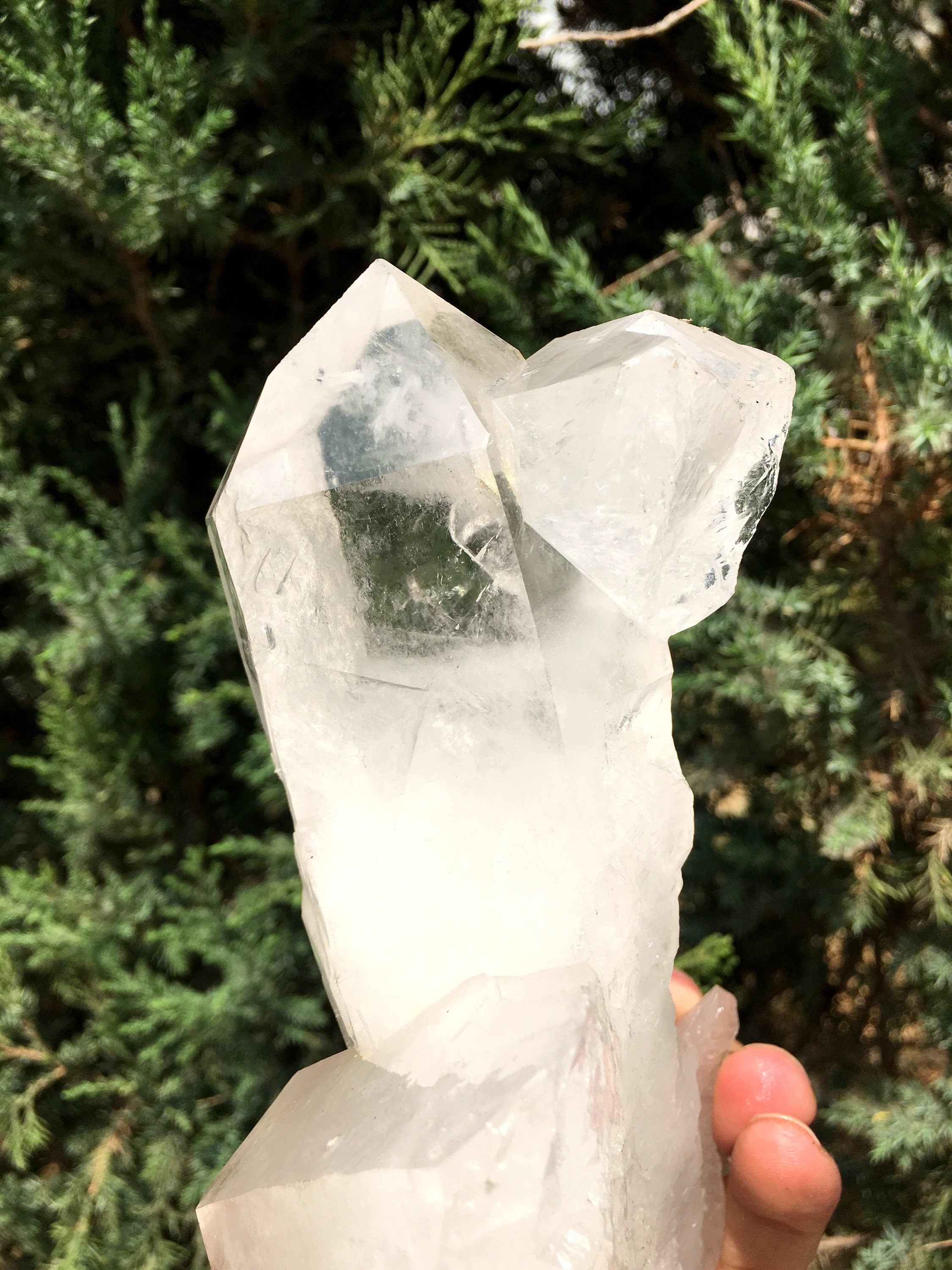 Natural Raw Himalayan Family Crystal Quartz Point/white Abundance ...