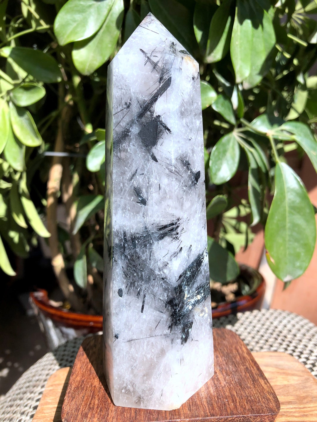 Rare Natural Black Tourmaline Rutilated Quartz Tower/black Tourmaline ...