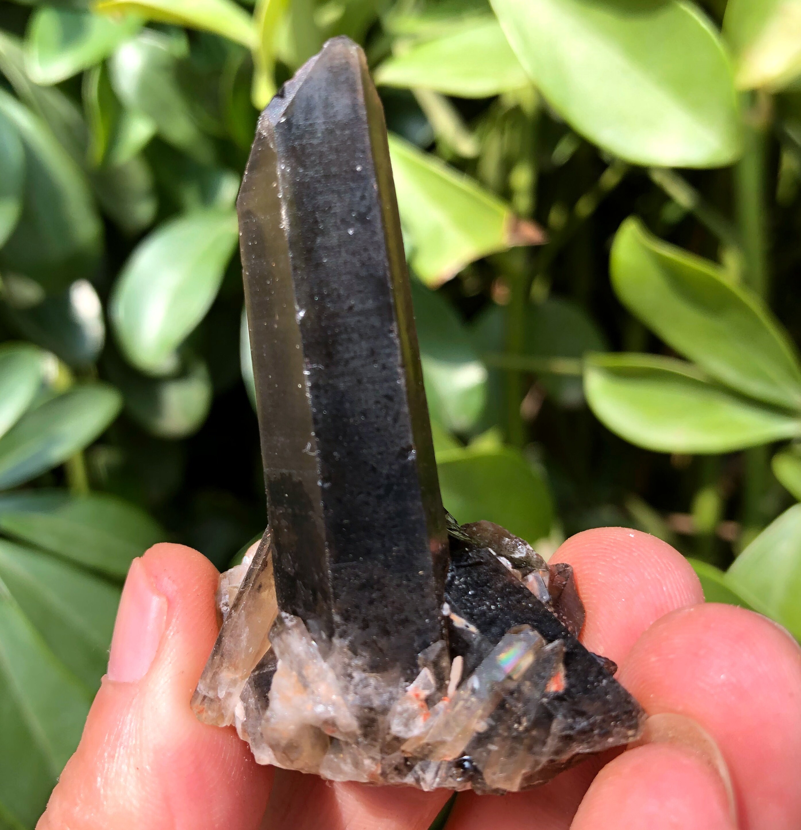 Top Large Raw black Crystal Cluster/Black Quartz | Etsy