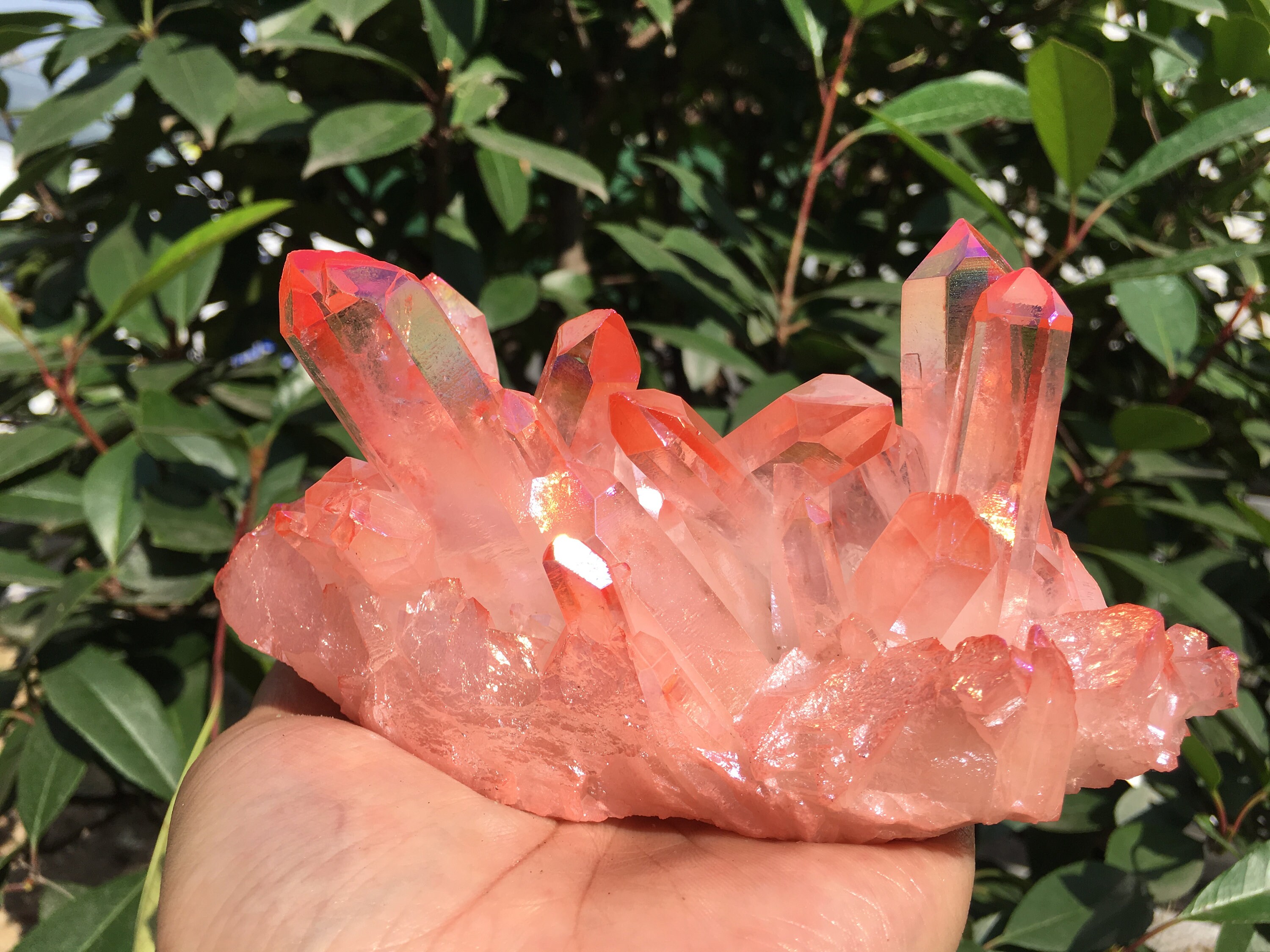 Aura Pink Quartz Crystal Cluster/Angel Aura Quartz Crystal | Etsy