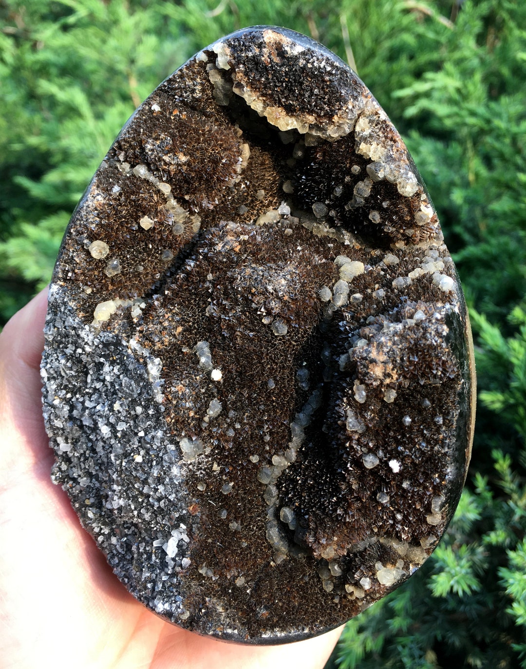 Dragon's Egg Septarian Nodule With Black Calcite Crystals/septarian ...